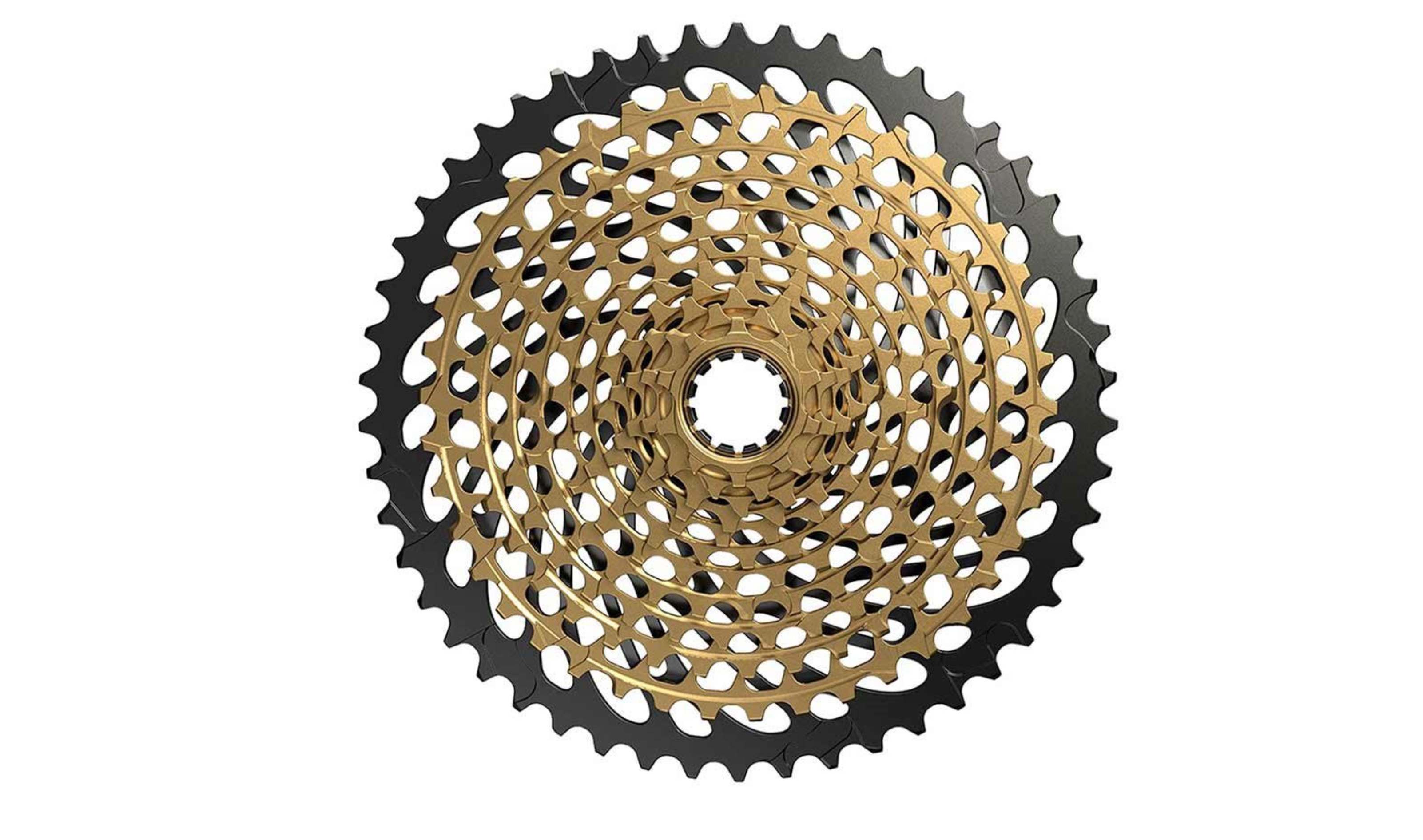 Black’s Cycle ~ Your Local Electric and Mountain Bike Experts – Black's ...